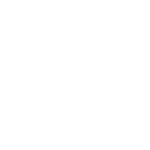 home page - הפרויקט של רביבו – האתר הרשמי